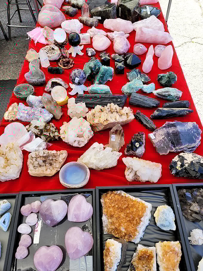 Nature's jewelry box spilled across red velvet—these crystals promise everything from healing energies to simply looking fabulous on your bookshelf.