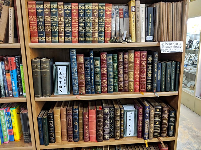 Leather-bound literary heaven! These aren't just books—they're time machines, each spine promising adventures from another era. 