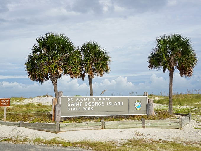 Three palm trees stand guard over the park entrance sign like botanical bouncers protecting Florida's most exclusive natural club.