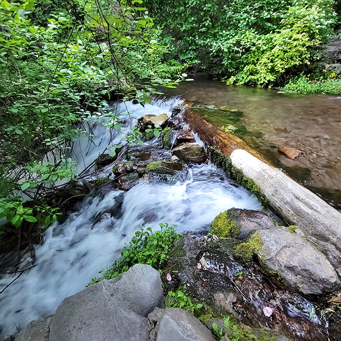 A hidden cascade that rewards hikers with nature's own version of a spa treatment soundtrack.