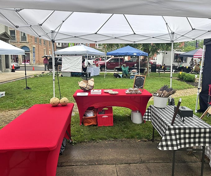 The farmers market offers nature's retirement dividends—locally grown produce arranged on checkered tablecloths by the very hands that coaxed them from the soil.