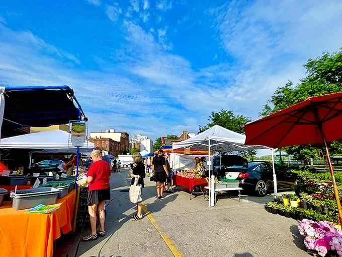 The farmers market transforms parking lots into community gathering spots where the phrase "locally sourced" isn't trendy – it's tradition.