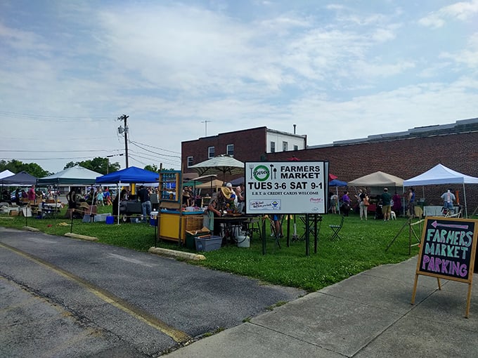 The Farmers Market delivers produce so fresh it practically introduces itself. "Hi, I'm a tomato. I was on a vine yesterday."