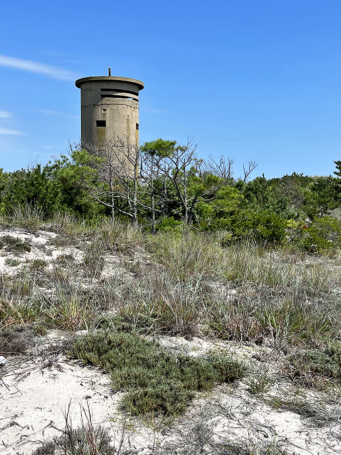 The World War II fire control tower stands as a silent sentinel, watching over beaches that once hosted coastal defenders.