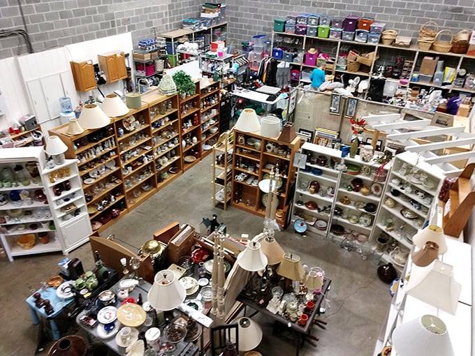 A bird's-eye view of organized chaos—where one person's discards become another's discoveries. Treasure hunting elevated to an art form!