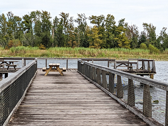 This fishing pier isn't just a structure – it's a runway extending into possibility, where patience becomes the day's most valuable currency.
