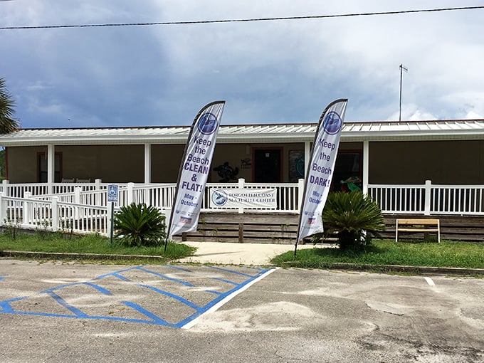 The Sea Turtle Center shows Port St. Joe's dedication to preserving nature's wonders for future generations.
