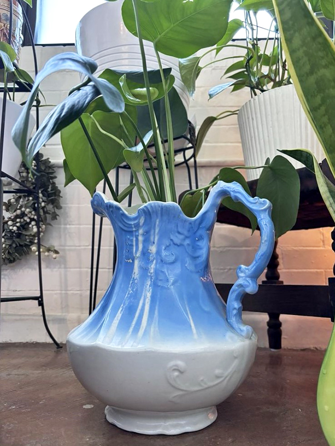 From grandmother's china cabinet to your plant sanctuary—this blue and white pitcher proves everything deserves a second act.