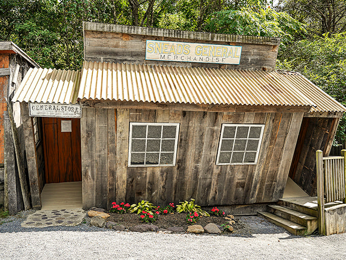 Snead's General Merchandise looks ready to supply your dinosaur-hunting expedition with all the 19th-century essentials.