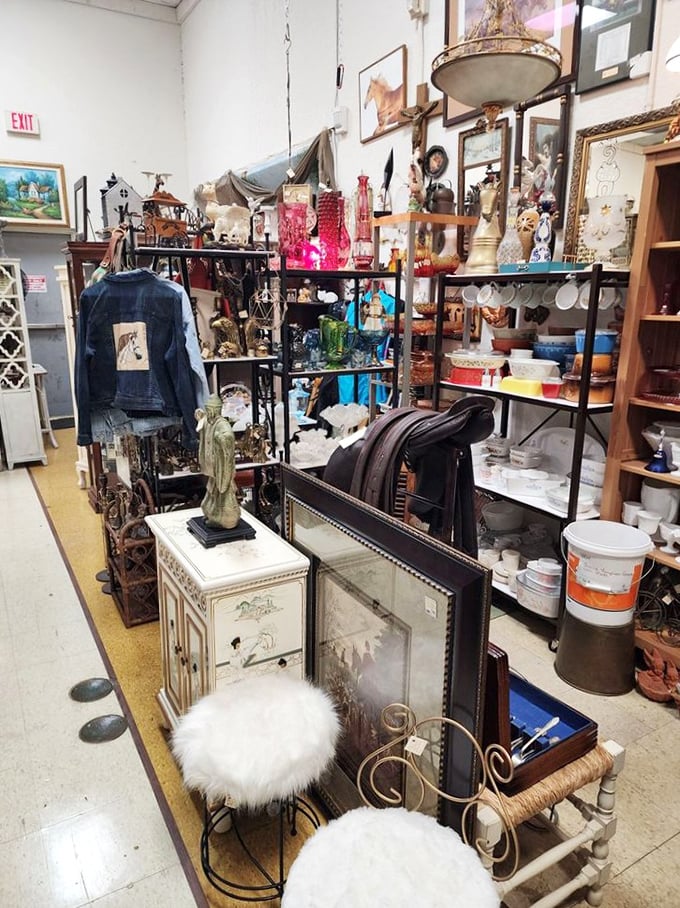 Every shelf in this aisle holds the potential for that "perfect find" moment – when something catches your eye from across the room.