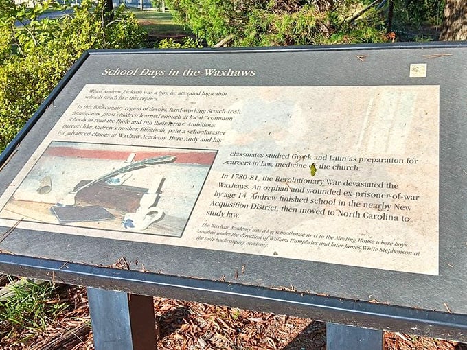 History lessons are more palatable when they don't involve memorizing dates – this informative display makes learning feel refreshingly optional.