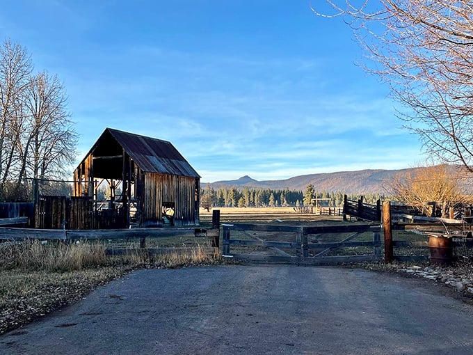 This weathered barn stands as a reminder of Chester's working past – where function created its own kind of beauty against the mountain backdrop.