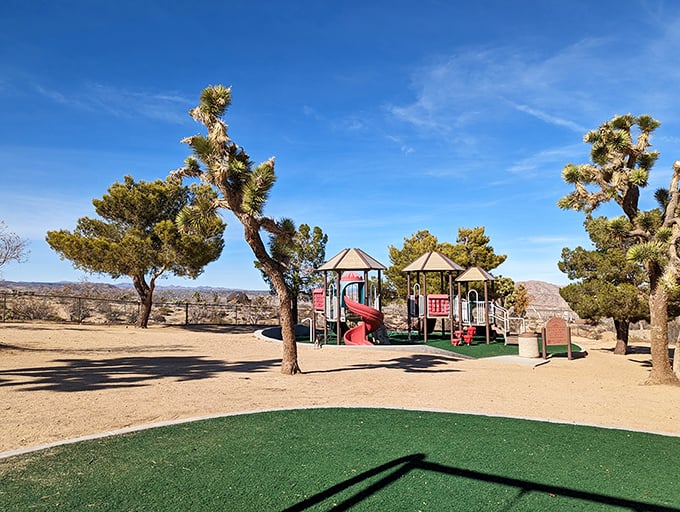 Even the playground at Friendly Hills Park incorporates Joshua Trees, teaching the next generation to appreciate these iconic desert sentinels.