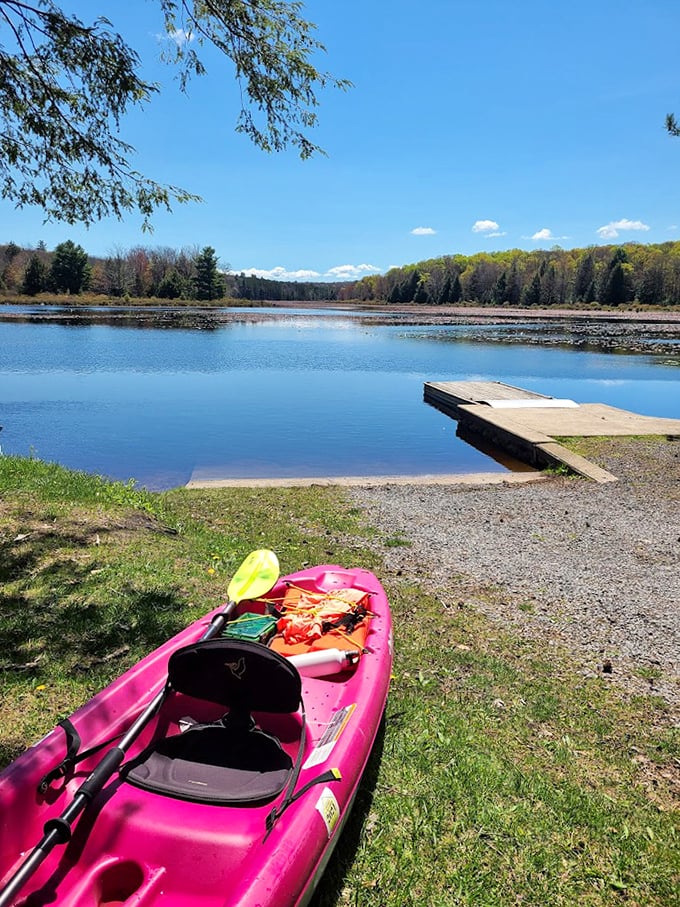 Adventure comes in bright pink! This kayak isn't just transportation—it's your personal exploration vessel for Black Moshannon's hidden corners.