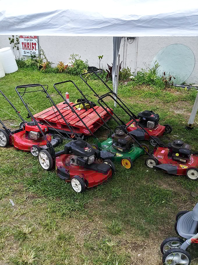 Lawnmowers lined up like a suburban army, ready to battle your overgrown Florida grass.