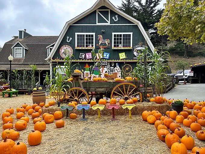 Gourd headquarters: Lemos Farm transforms into pumpkin paradise each fall, where Instagram opportunities outnumber the actual pumpkins.