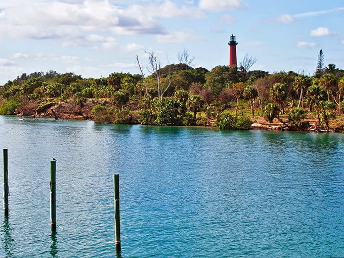 The lighthouse plays peek-a-boo through coastal vegetation, a reminder that Florida's most magical spots often require a bit of exploration.