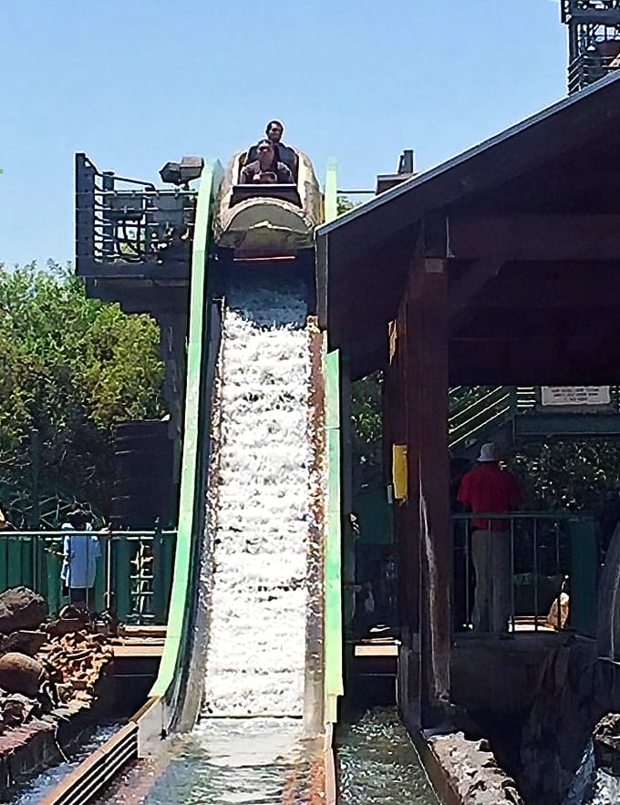 The log ride delivers that perfect splash – just enough to cool you down without leaving you squishing in wet shoes for the rest of the day.