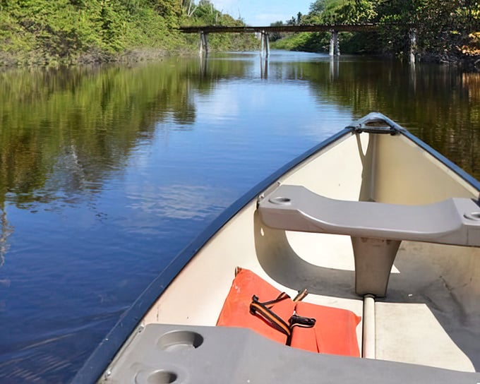 Front-row seating to serenity: From the bow of a canoe, Long Lake reveals itself as nature's version of a drive-in theater, with wildlife as the main attraction.