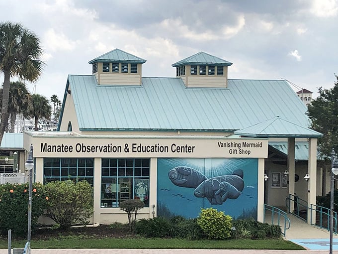 The Manatee Observation Center stands as a cheerful ambassador for Florida's gentle sea cows – where education and conservation meet adorable aquatic mammals.