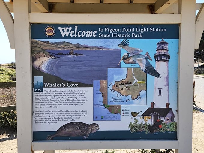 The welcome sign – where a pelican looks suspiciously pleased about the lighthouse's location, as if it had something to do with it.