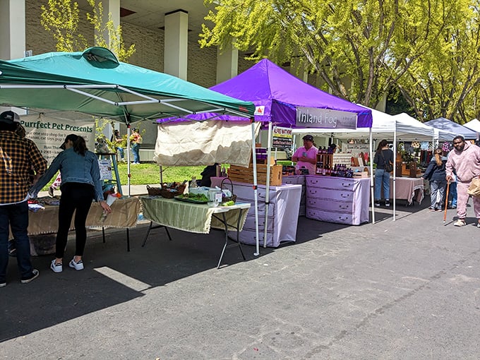 The Modesto Certified Farmers' Market proves eating fresh and local doesn't require a tech salary—just a Saturday morning and a reusable shopping bag.