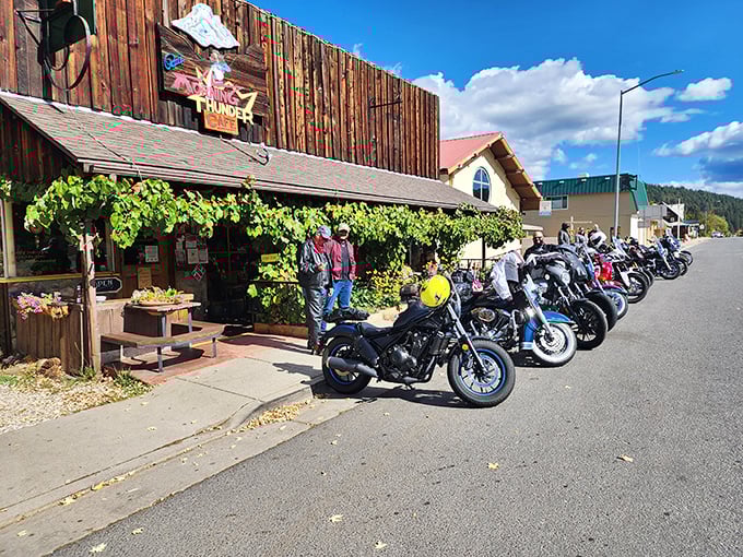 Where motorcycles gather like faithful pilgrims at a temple of road trip refreshment—the biker's version of a watering hole.