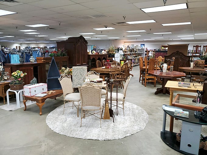 A furniture showroom that feels like you've wandered into a particularly eclectic estate sale—without the awkwardness of mourning relatives nearby.