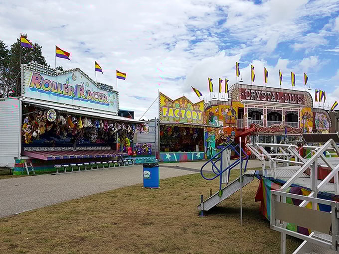 The county fair brings carnival magic to Gaylord. Those rides might be temporary, but the sugar rush and childhood memories are forever.