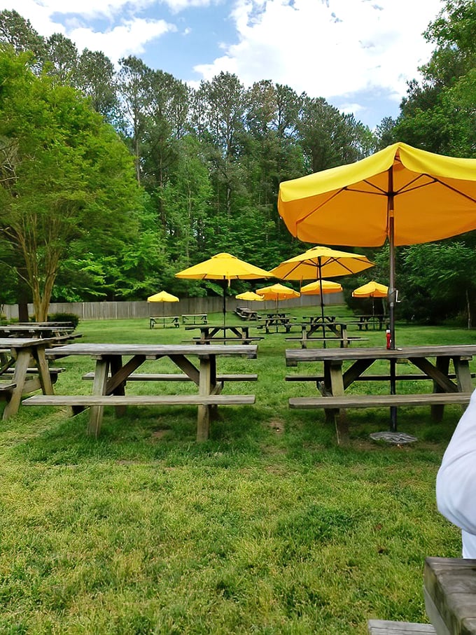Yellow umbrellas create an outdoor dining oasis where sauce-stained fingers are badges of honor.