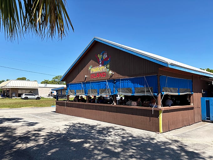 Parrott Island's tiki-style setup whispers "island time" without the passport or overpriced rum drinks.