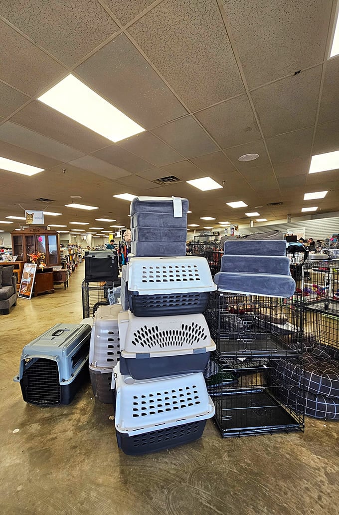 Even Fido gets the recycling treatment, with gently used carriers and crates that make pet transportation affordable for families on any budget.