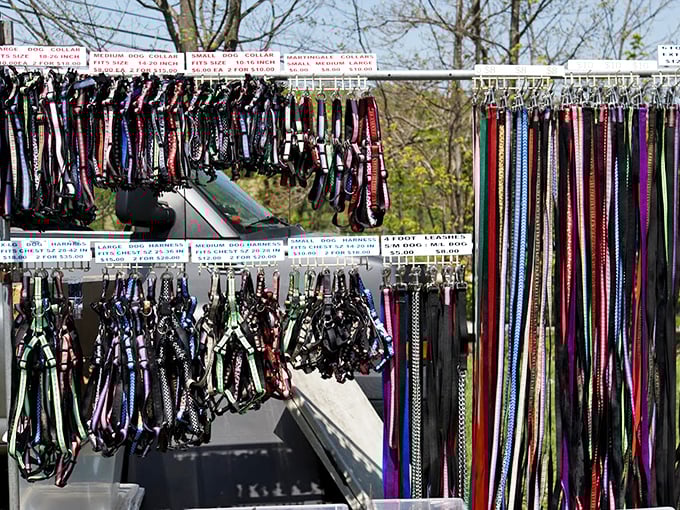 Dog owners, rejoice! This leash lineup proves your furry friend's accessories can be as stylish and personality-filled as your own.