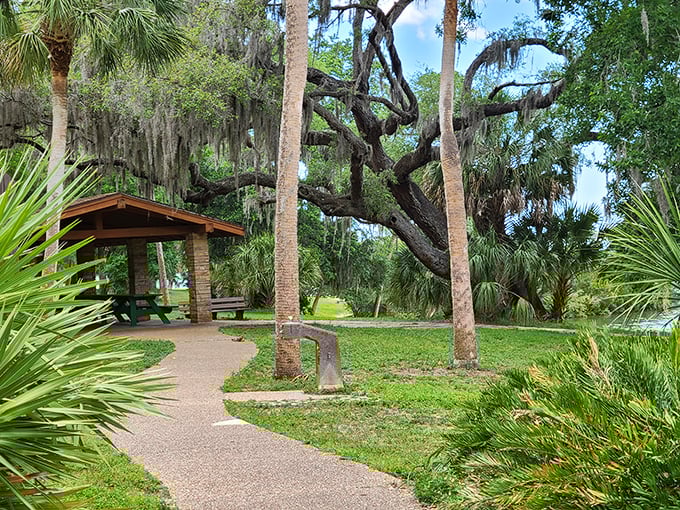 The community garden's neat raised beds and cheerful shed reveal Safety Harbor's commitment to growing both vegetables and neighborhood connections.
