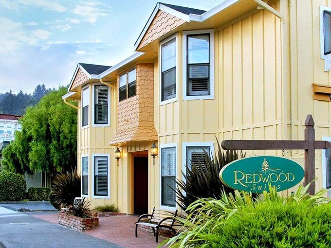 The Redwood Suites blend coastal charm with practical comfort – because even in a town that celebrates the 1890s, modern amenities are non-negotiable.