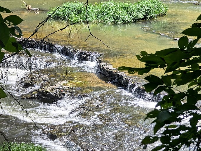 The river's journey begins with these modest ripples – like watching a Broadway star in their humble community theater beginnings.
