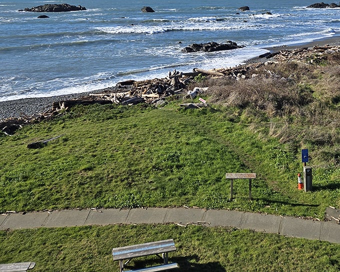 Coastal trails offer front-row seats to nature's greatest show – where every crashing wave feels like a standing ovation for your life choices.