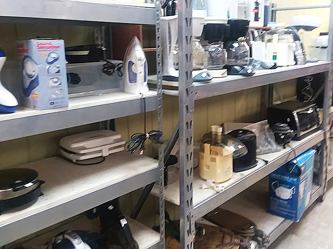 Small appliances standing at attention – some barely used, others veterans of countless morning coffee campaigns.