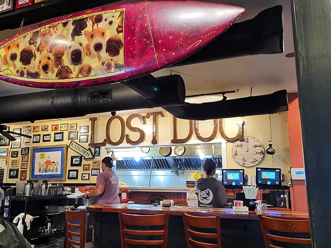 The "LOST DOG" sign presides over the kitchen pass—a beacon guiding hungry souls to breakfast salvation.