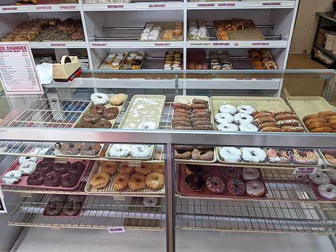 The display case—a museum of edible art where every piece deserves your attention. Gallery admission is free; donuts are extra.