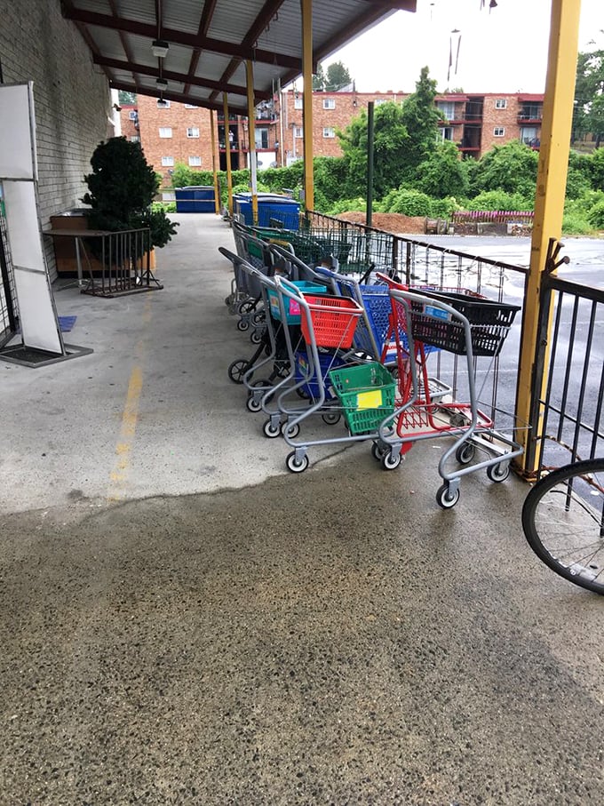 Even the shopping carts have personality here—a colorful convoy ready to help you haul home more inspiration than you planned for.