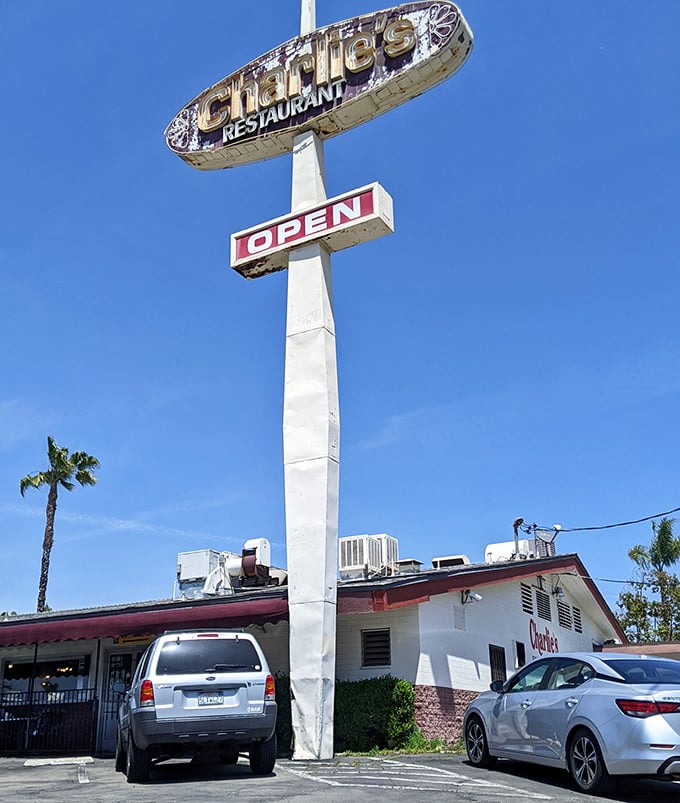 That sign isn't just advertising—it's a beacon of hope for the hungry. "OPEN" might be the most beautiful four-letter word in existence.