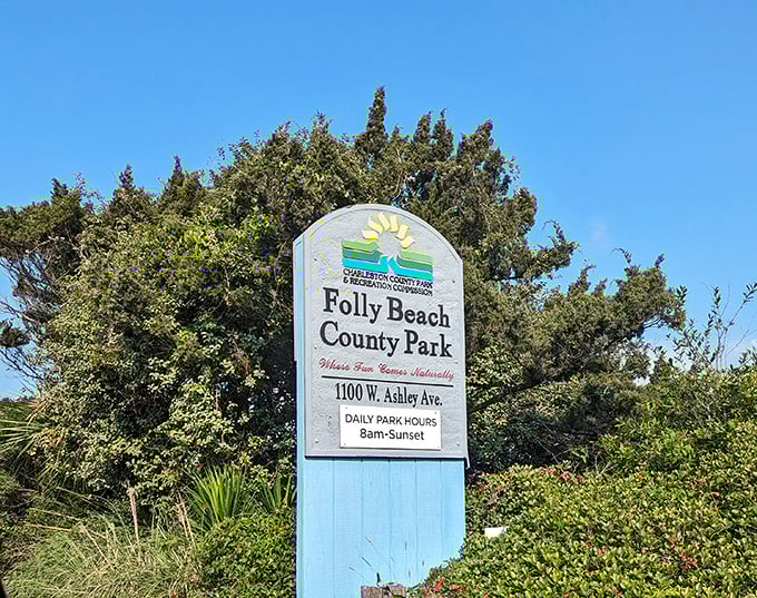 "Where fun comes naturally" isn't just a slogan. Folly Beach County Park's welcoming sign promises—and delivers—coastal memories since 8am daily.