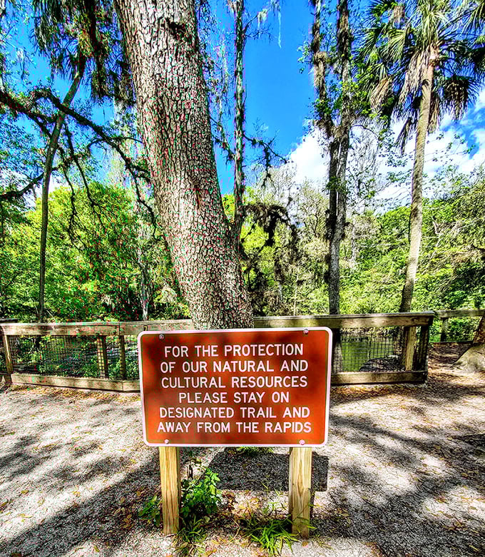 The sign politely reminds visitors to stay on trails, because in Florida, wandering off-path might mean an unexpected alligator meet-and-greet.