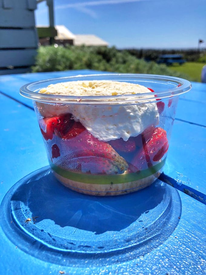 Strawberry shortcake with ocean views—the California dream in edible form. Simple ingredients transformed into something transcendent.