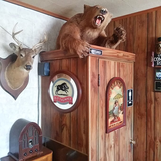 The taxidermy collection watches over diners with glass-eyed approval – these former forest dwellers now permanent patrons of this woodland feast.