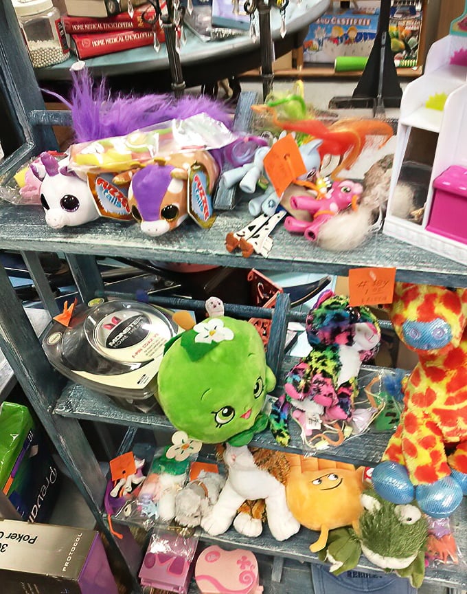 Stuffed animals waiting for second chances – that green fellow seems particularly optimistic about finding a new home on someone's shelf.