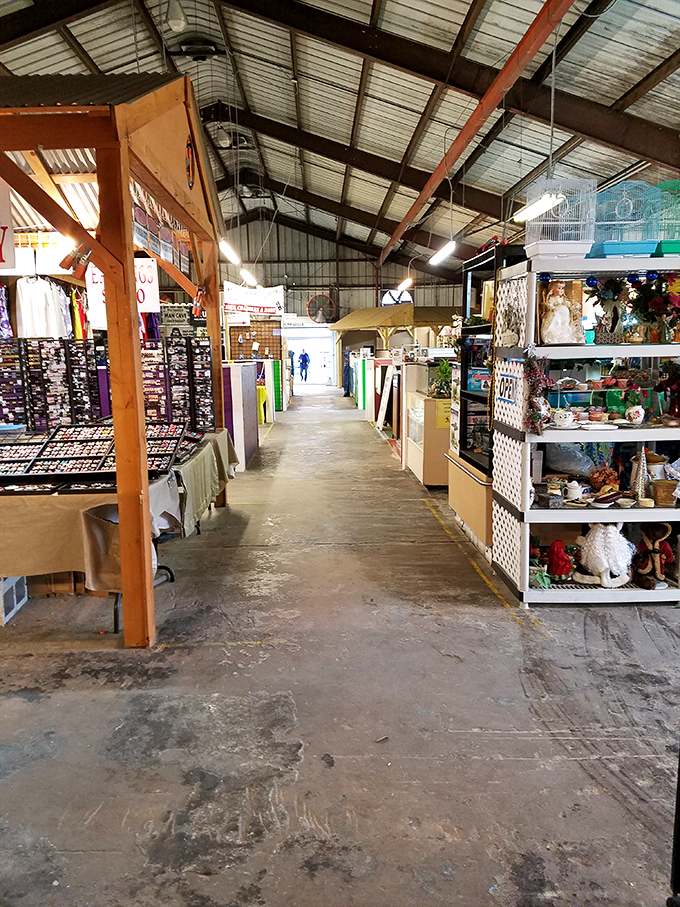 The Sunshine Flea Market's treasure-lined aisles promise the thrill of the hunt – where one person's castoffs become another's conversation pieces.