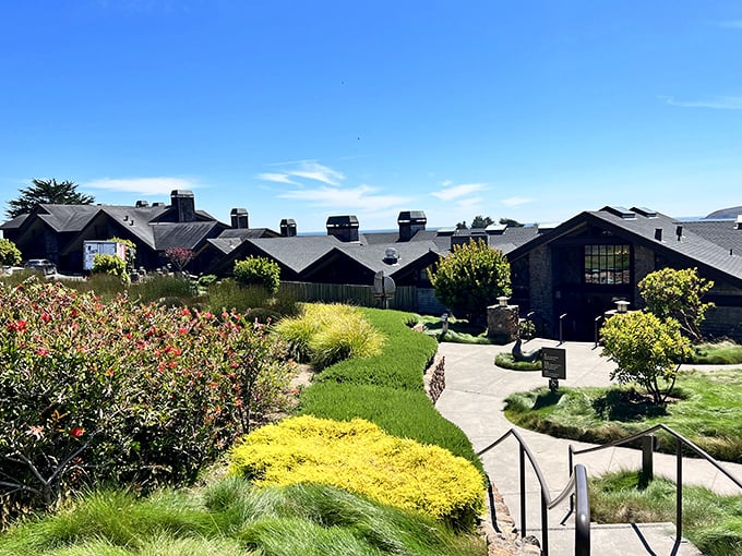 Not your average hotel – The Lodge at Bodega Bay nestles into the landscape like it grew there naturally, just with better amenities.