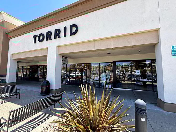 Torrid's welcoming storefront offers stylish options for all body types—because looking fabulous shouldn't depend on your size or budget.